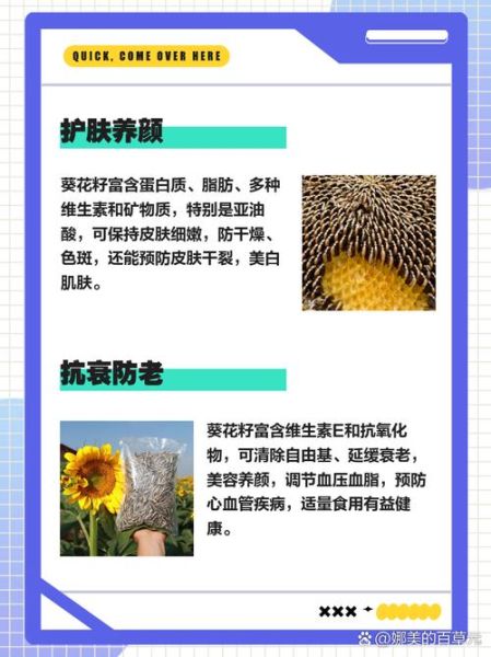 葵花籽的功效与作用_葵花籽吃多了有什么坏处-第3张图片-山城妙识 葵花籽的功效与作用_葵花籽吃多了有什么坏处-第3张图片-山城妙识