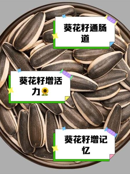 葵花籽的功效与作用_葵花籽吃多了有什么坏处-第2张图片-山城妙识 葵花籽的功效与作用_葵花籽吃多了有什么坏处-第2张图片-山城妙识