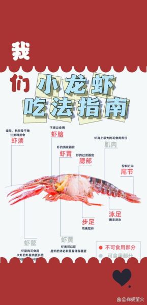 龙虾哪里不能吃图解_龙虾内脏位置示意图-第1张图片-山城妙识 龙虾哪里不能吃图解_龙虾内脏位置示意图-第1张图片-山城妙识