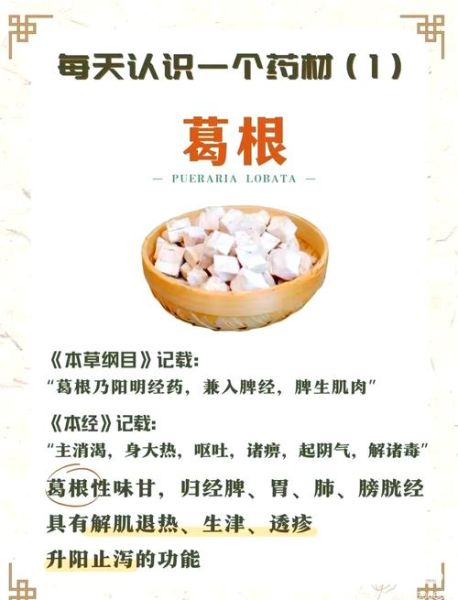 葛根粉有什么功效_葛根粉的作用与禁忌-第1张图片-山城妙识 葛根粉有什么功效_葛根粉的作用与禁忌-第1张图片-山城妙识