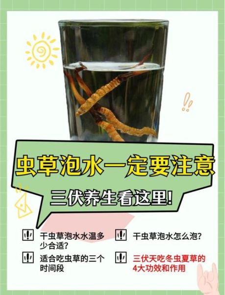 虫草泡水用开水还是温水_虫草泡水正确步骤-第1张图片-山城妙识
