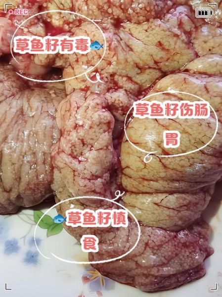 鱼籽什么人不能吃_孕妇能吃鱼籽吗-第3张图片-山城妙识 鱼籽什么人不能吃_孕妇能吃鱼籽吗-第3张图片-山城妙识