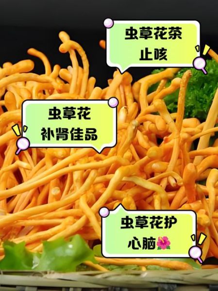 虫草泡水用开水还是温水_虫草泡水正确步骤-第3张图片-山城妙识