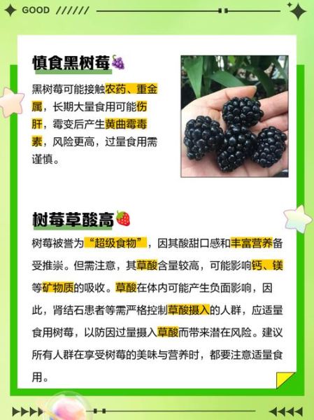 黑树莓的功效与作用禁忌_黑树莓怎么吃最健康-第1张图片-山城妙识 黑树莓的功效与作用禁忌_黑树莓怎么吃最健康-第1张图片-山城妙识
