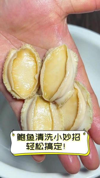 鲍鱼怎么做好吃_鲍鱼清洗技巧-第2张图片-山城妙识 鲍鱼怎么做好吃_鲍鱼清洗技巧-第2张图片-山城妙识