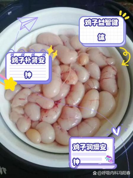鸡子的功效与作用_鸡子怎么做好吃又营养-第1张图片-山城妙识 鸡子的功效与作用_鸡子怎么做好吃又营养-第1张图片-山城妙识