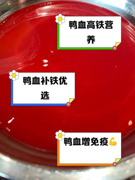 鸡血鸭血补血效果好吗_鸡血鸭血哪个更补铁-第1张图片-山城妙识 鸡血鸭血补血效果好吗_鸡血鸭血哪个更补铁-第1张图片-山城妙识