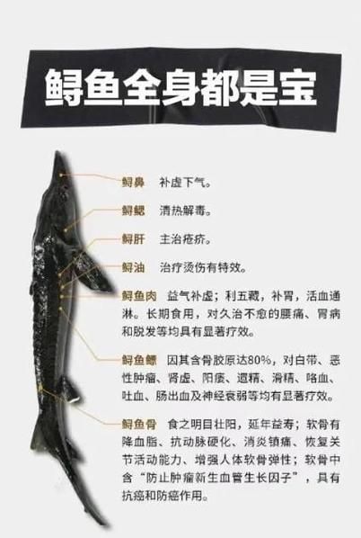 鲟鱼的营养价值_鲟鱼的功效与作用-第1张图片-山城妙识