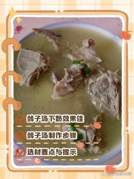 产妇鸽子汤怎么做_坐月子鸽子汤的正确做法-第2张图片-山城妙识