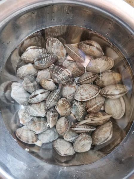 辣炒花甲怎么炒才没沙_辣炒花甲用焯水吗-第2张图片-山城妙识 辣炒花甲怎么炒才没沙_辣炒花甲用焯水吗-第2张图片-山城妙识