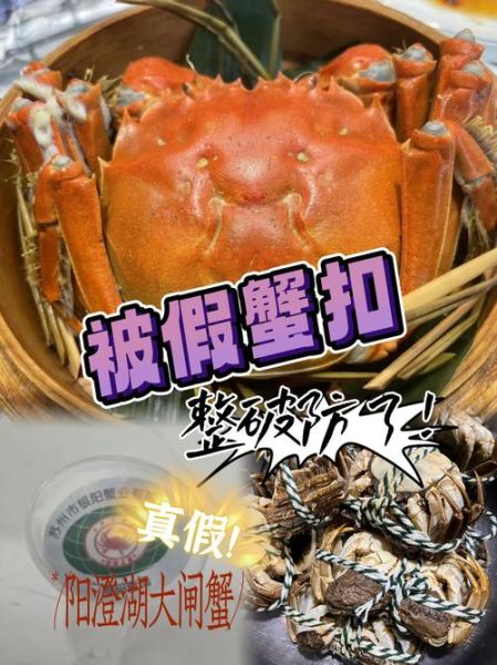 阳澄湖大闸蟹都是假的_如何辨别真假-第3张图片-山城妙识