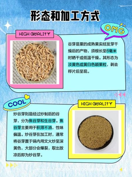 谷芽麦芽炒与不炒的区别_哪个更好-第1张图片-山城妙识 谷芽麦芽炒与不炒的区别_哪个更好-第1张图片-山城妙识