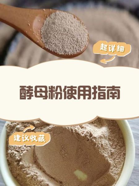 酵母粉是什么_酵母粉怎么用-第1张图片-山城妙识 酵母粉是什么_酵母粉怎么用-第1张图片-山城妙识