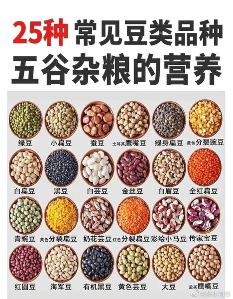 豆类食物有哪些图片_常见豆类品种大全-第1张图片-山城妙识 豆类食物有哪些图片_常见豆类品种大全-第1张图片-山城妙识