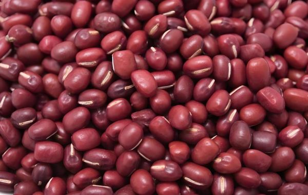 豆类食物有哪些图片_常见豆类品种大全-第3张图片-山城妙识 豆类食物有哪些图片_常见豆类品种大全-第3张图片-山城妙识