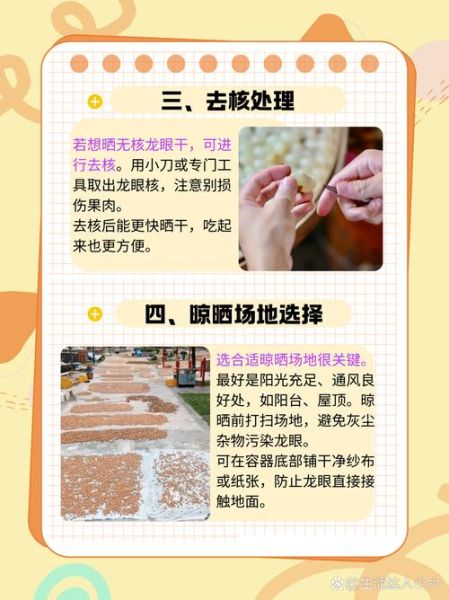 龙眼怎么晒干成桂圆_龙眼晒干要几天-第1张图片-山城妙识 龙眼怎么晒干成桂圆_龙眼晒干要几天-第1张图片-山城妙识