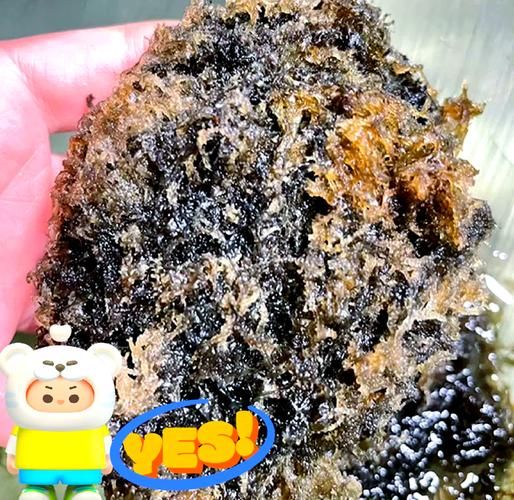 竹燕窝一斤多少钱_竹燕窝价格影响因素-第3张图片-山城妙识