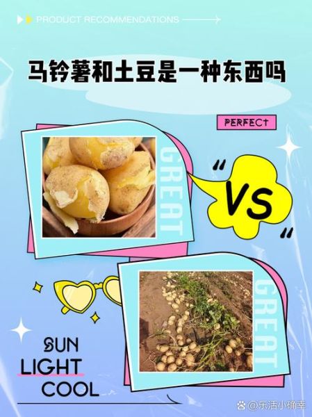 马铃薯的由来_马铃薯原产地在哪里-第2张图片-山城妙识 马铃薯的由来_马铃薯原产地在哪里-第2张图片-山城妙识
