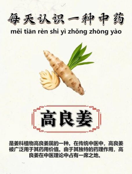 高良姜别名有哪些_高良姜和小良姜区别-第1张图片-山城妙识 高良姜别名有哪些_高良姜和小良姜区别-第1张图片-山城妙识