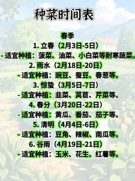 菜头怎么种_菜头种植时间和方法-第2张图片-山城妙识 菜头怎么种_菜头种植时间和方法-第2张图片-山城妙识