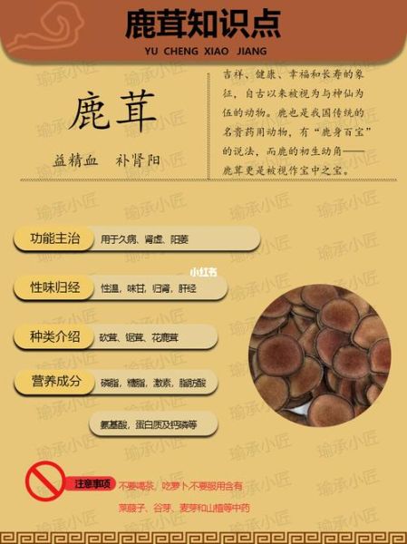 鹿茸的功效与作用吃法用量_鹿茸怎么吃效果最好-第1张图片-山城妙识 鹿茸的功效与作用吃法用量_鹿茸怎么吃效果最好-第1张图片-山城妙识