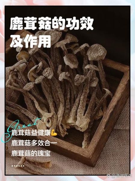 鹿茸的功效与作用吃法用量_鹿茸怎么吃效果最好-第3张图片-山城妙识 鹿茸的功效与作用吃法用量_鹿茸怎么吃效果最好-第3张图片-山城妙识