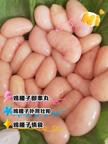 鸡子是什么意思_鸡子是鸡蛋还是鸡睾丸-第1张图片-山城妙识 鸡子是什么意思_鸡子是鸡蛋还是鸡睾丸-第1张图片-山城妙识