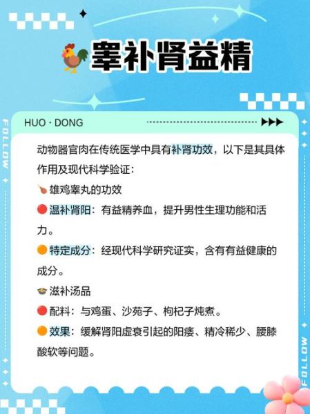 鸡子是什么意思_鸡子是鸡蛋还是鸡睾丸-第2张图片-山城妙识 鸡子是什么意思_鸡子是鸡蛋还是鸡睾丸-第2张图片-山城妙识