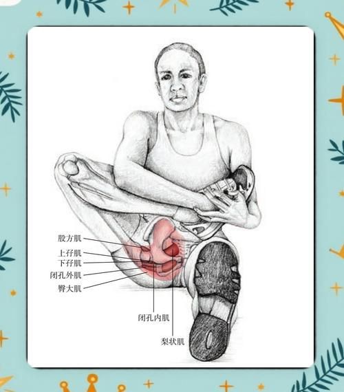 梨状肌位置在哪_梨状肌疼痛怎么缓解-第1张图片-山城妙识 梨状肌位置在哪_梨状肌疼痛怎么缓解-第1张图片-山城妙识