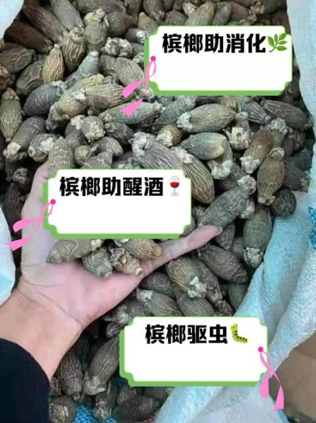 槟榔的功效与作用_槟榔的禁忌有哪些-第3张图片-山城妙识 槟榔的功效与作用_槟榔的禁忌有哪些-第3张图片-山城妙识