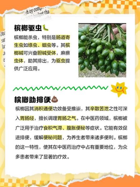 槟榔的功效与作用_槟榔的禁忌有哪些-第1张图片-山城妙识 槟榔的功效与作用_槟榔的禁忌有哪些-第1张图片-山城妙识