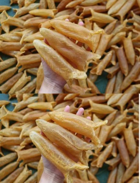 黄花胶是什么_黄花胶的功效与作用-第1张图片-山城妙识 黄花胶是什么_黄花胶的功效与作用-第1张图片-山城妙识