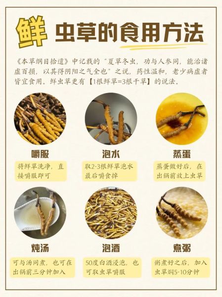 鲜虫草怎么吃最好_鲜虫草最佳食用方法-第2张图片-山城妙识 鲜虫草怎么吃最好_鲜虫草最佳食用方法-第2张图片-山城妙识