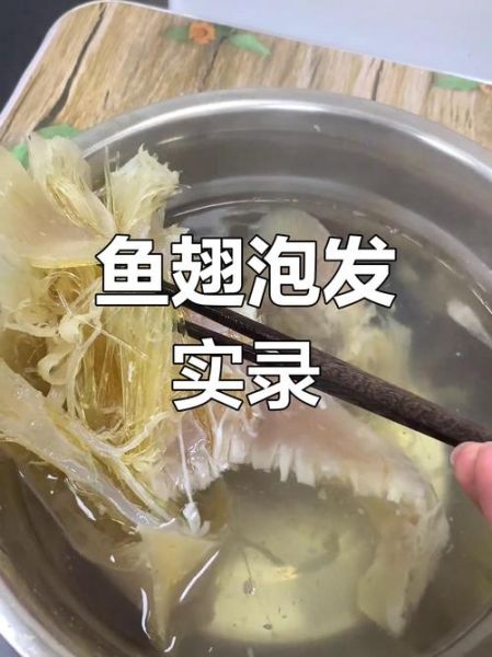 鱼翅怎么泡发_鱼翅图片大全大图的做法-第2张图片-山城妙识