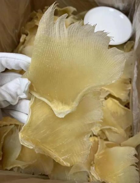 鱼翅怎么泡发_鱼翅图片大全大图的做法-第3张图片-山城妙识