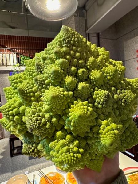 绿花椰菜怎么保存_绿花椰菜营养价值高吗-第1张图片-山城妙识 绿花椰菜怎么保存_绿花椰菜营养价值高吗-第1张图片-山城妙识