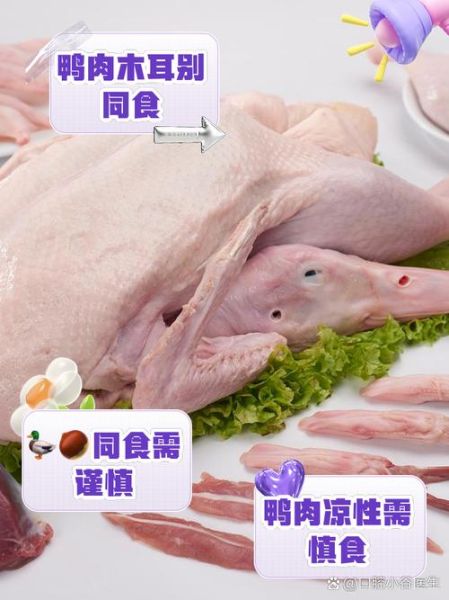 鸭肉和什么蔬菜相克_吃鸭肉不能配哪些菜-第1张图片-山城妙识