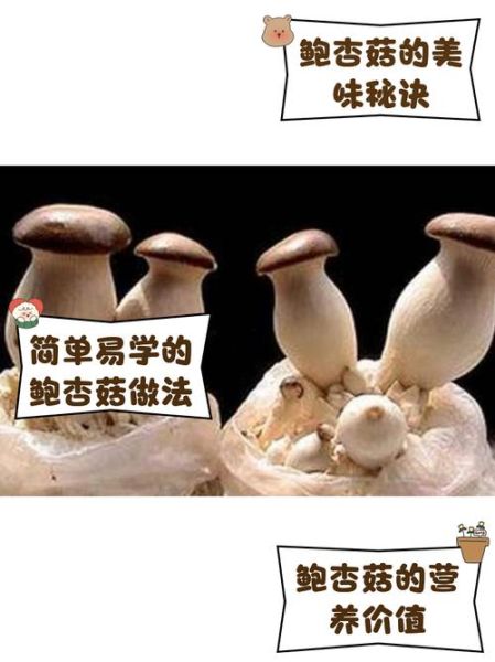 鲍鱼菇和杏鲍菇一样吗_区别与营养价值对比-第1张图片-山城妙识 鲍鱼菇和杏鲍菇一样吗_区别与营养价值对比-第1张图片-山城妙识