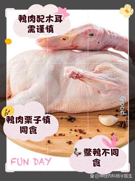 鸭肉和什么蔬菜相克_吃鸭肉不能配哪些菜-第3张图片-山城妙识