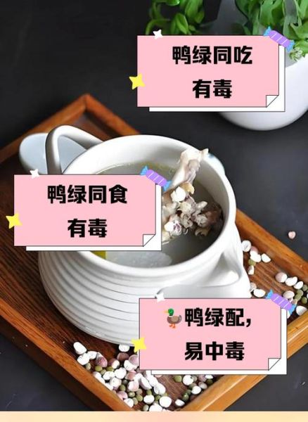 鸭肉和什么蔬菜相克_吃鸭肉不能配哪些菜-第2张图片-山城妙识