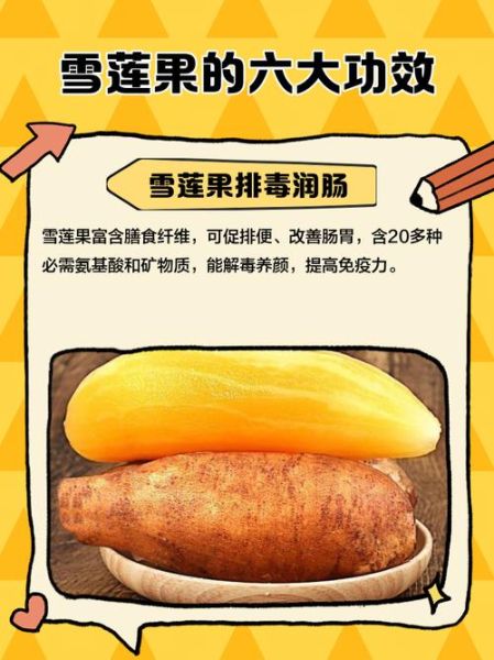 雪莲果的功效与作用_雪莲果的营养价值有哪些-第1张图片-山城妙识 雪莲果的功效与作用_雪莲果的营养价值有哪些-第1张图片-山城妙识