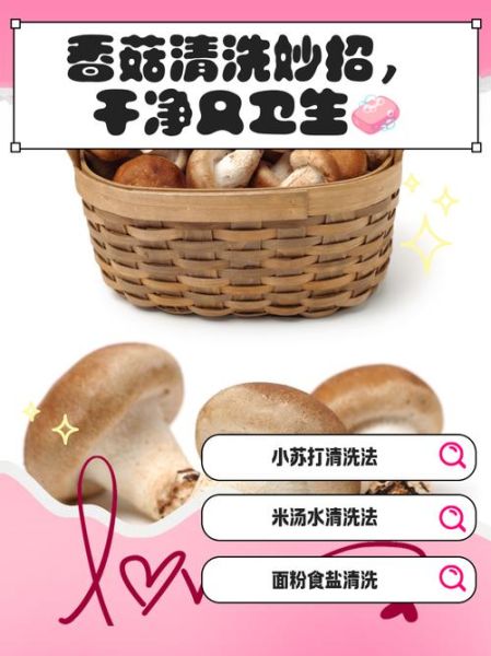 香菇怎么泡发_香菇怎么清洗才干净-第2张图片-山城妙识 香菇怎么泡发_香菇怎么清洗才干净-第2张图片-山城妙识