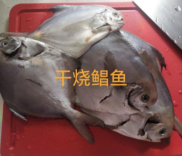 干烧海鲳鱼怎么做_海鲳鱼干烧技巧-第2张图片-山城妙识 干烧海鲳鱼怎么做_海鲳鱼干烧技巧-第2张图片-山城妙识