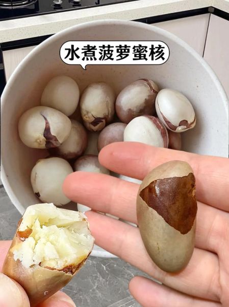 菠萝蜜核能吃吗_怎么吃才安全-第1张图片-山城妙识