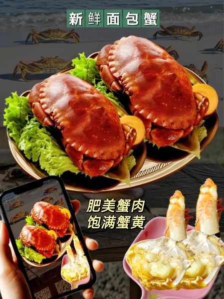 面包蟹多少钱一只_面包蟹价格影响因素-第2张图片-山城妙识 面包蟹多少钱一只_面包蟹价格影响因素-第2张图片-山城妙识