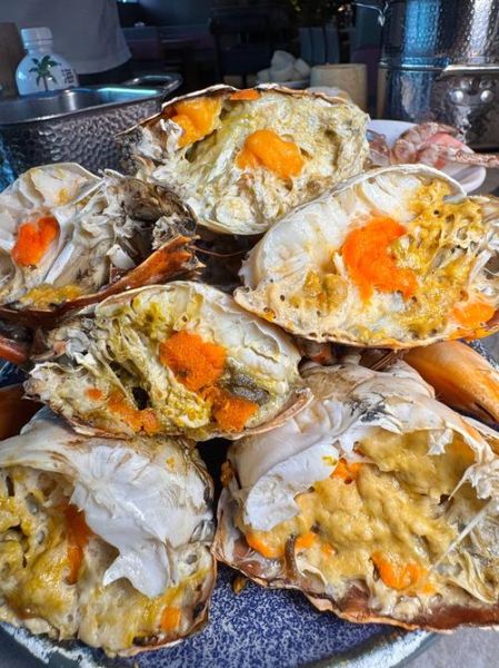 面包蟹多少钱一只_面包蟹价格影响因素-第1张图片-山城妙识 面包蟹多少钱一只_面包蟹价格影响因素-第1张图片-山城妙识