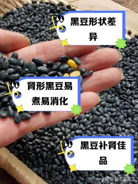 黑豆补肾还是伤肾_中医黑豆对肾的影响-第1张图片-山城妙识 黑豆补肾还是伤肾_中医黑豆对肾的影响-第1张图片-山城妙识