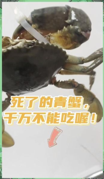 螃蟹买回来死了还能吃吗_死蟹多久不能吃-第1张图片-山城妙识