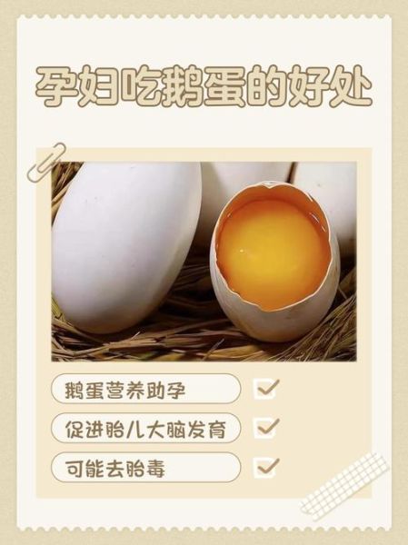 鹅蛋什么人不能吃_孕妇可以吃吗-第1张图片-山城妙识 鹅蛋什么人不能吃_孕妇可以吃吗-第1张图片-山城妙识