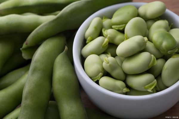 蚕豆图片怎么拍_蚕豆图片高清素材哪里找-第3张图片-山城妙识 蚕豆图片怎么拍_蚕豆图片高清素材哪里找-第3张图片-山城妙识